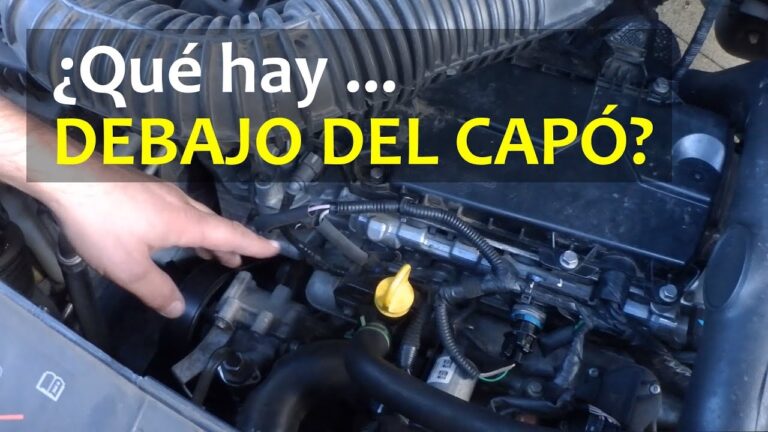 Partes del capó de un coche: Guía completa con imágenes ...
