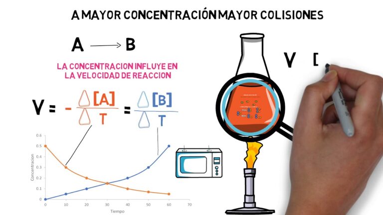 ¿Qué es la velocidad de reacción? Definición, factores y ejemplos ...